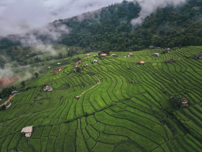 Travelwise Chiang Mai Pa Pong Rice Terraces Tour ⭐️⭐️⭐️⭐️⭐️