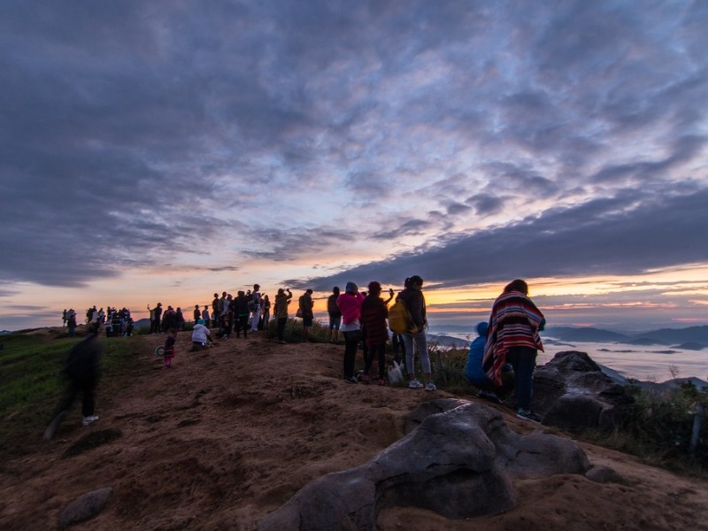 Travelwise Chiang Mai Phu Chi Fa Sunrise Tour ⭐️⭐️⭐️⭐️⭐️